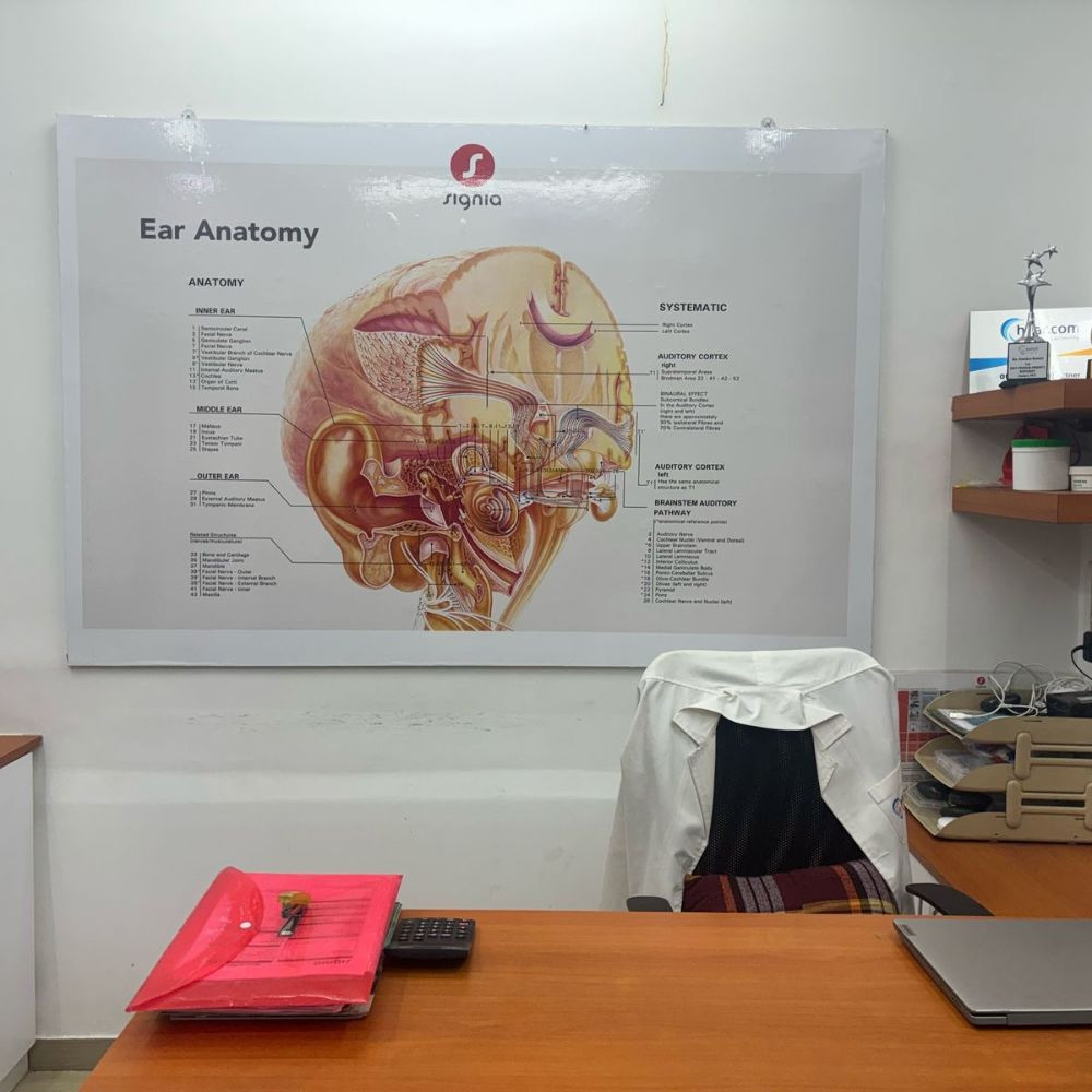 Find Trusted Hearing Aid Clinics Across India | Aanvii Hearing