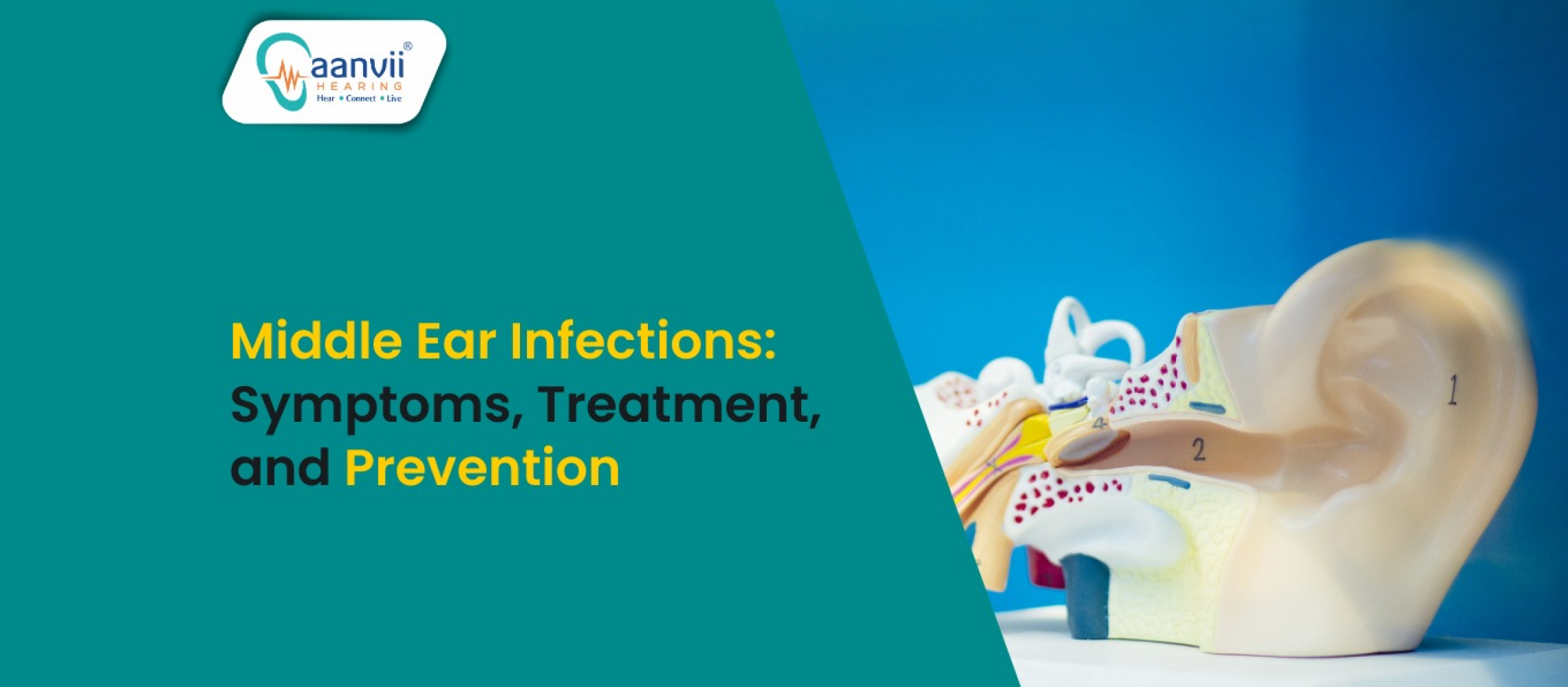 Middle Ear Infections: Symptoms, Treatment, and Prevention | Aanvii Hearing