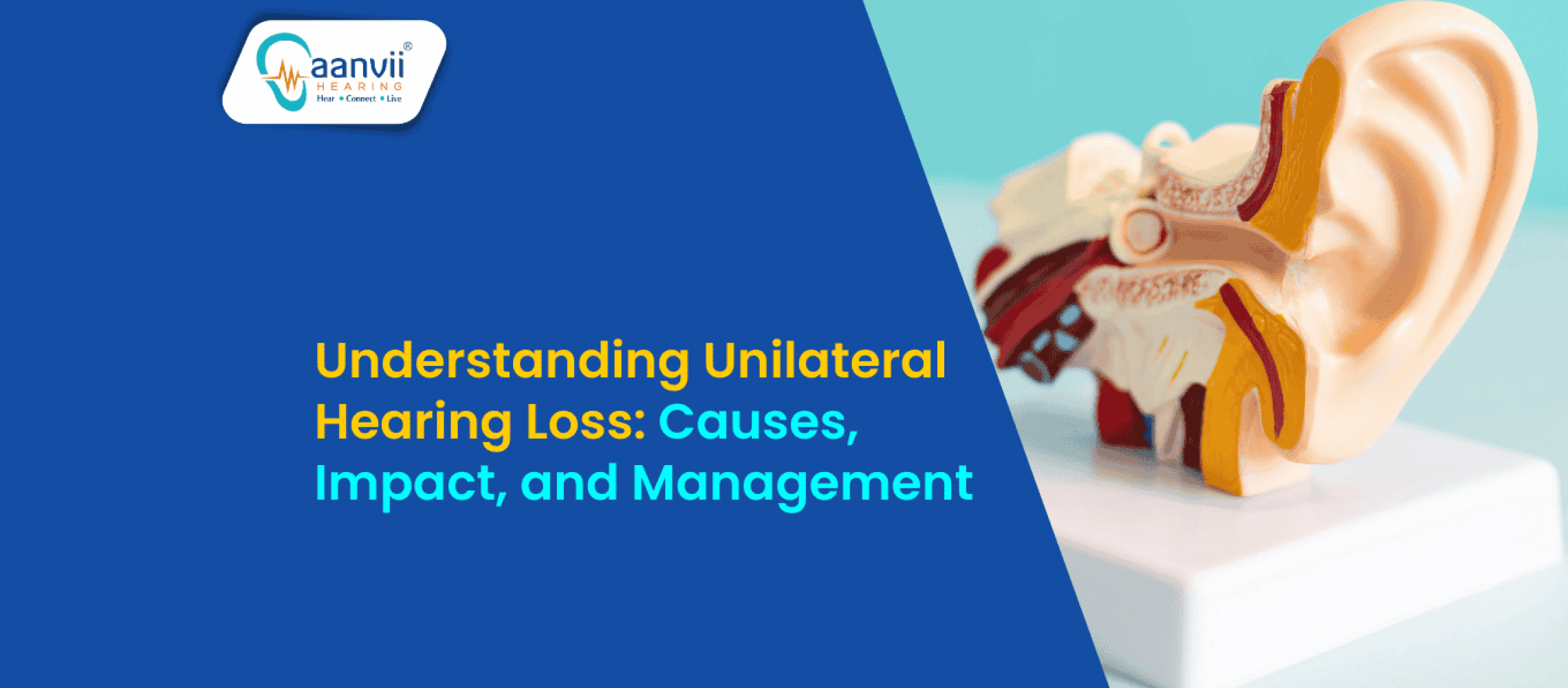 Understanding Unilateral Hearing Loss: Causes, Impact, and Management ...