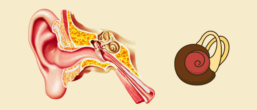 Understanding Ear Pressure: Causes and Remedies | Aanvii Hearing