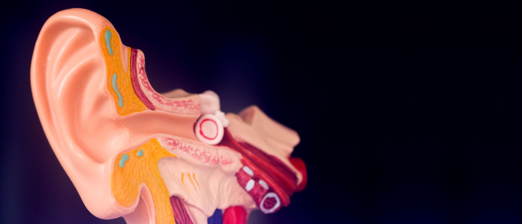 Demystifying Tympanometry: An Essential Test for Healthy Ears | Aanvii ...