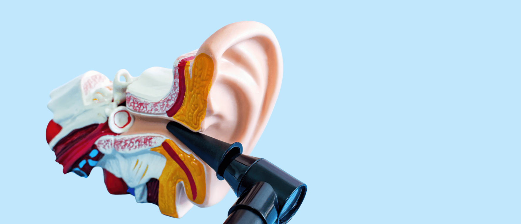 How Does Wax Build-Up Affect Hearing? | Aanvii Hearing